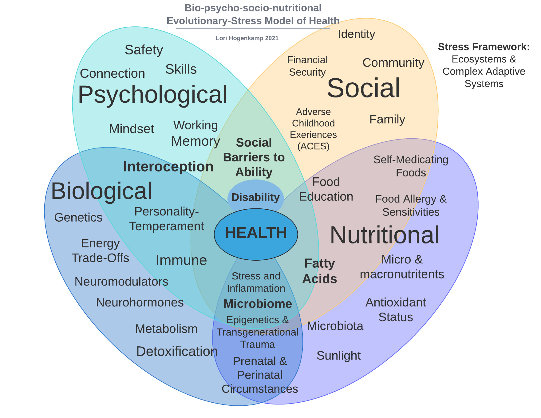 Biopsychosocial-Nutritional Model - The Evo-Stress Blog
