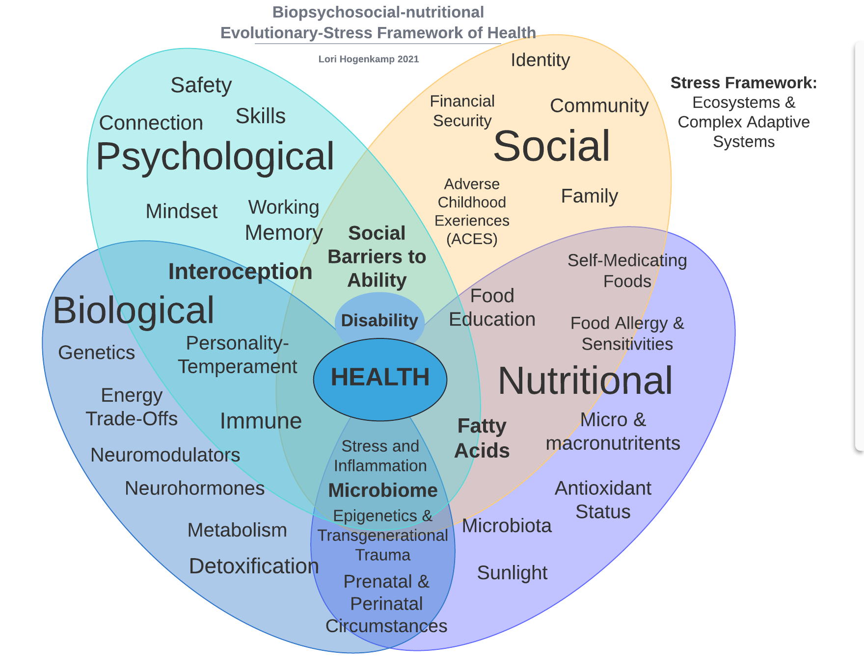 Beyond Causation: Reframing Autism Through the Biopsychosocial ...